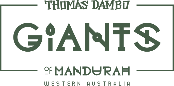 Thomas Dambo's | Giants of Mandurah